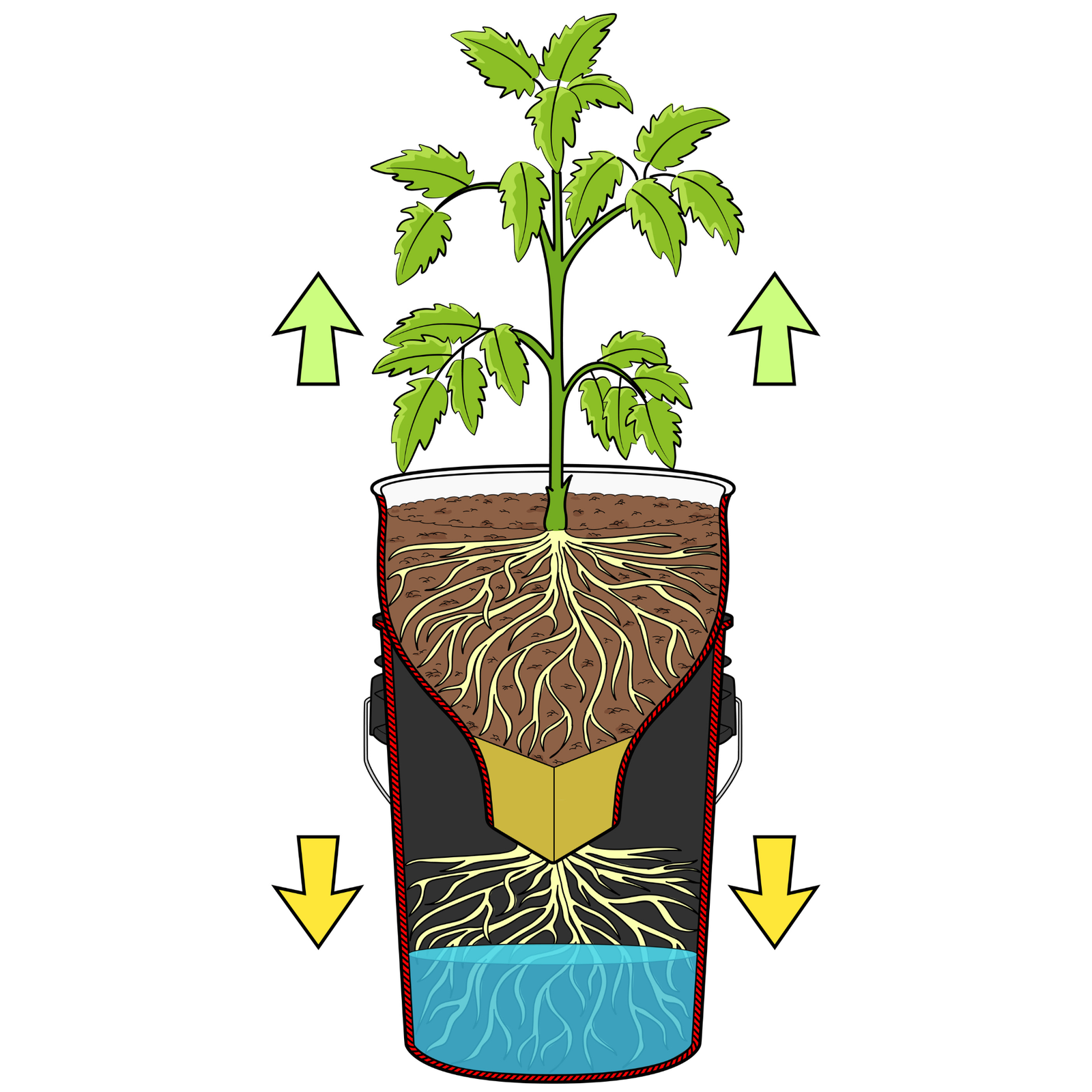 Soil Cup Self Watering Bucket Insert - Tomato Bucket