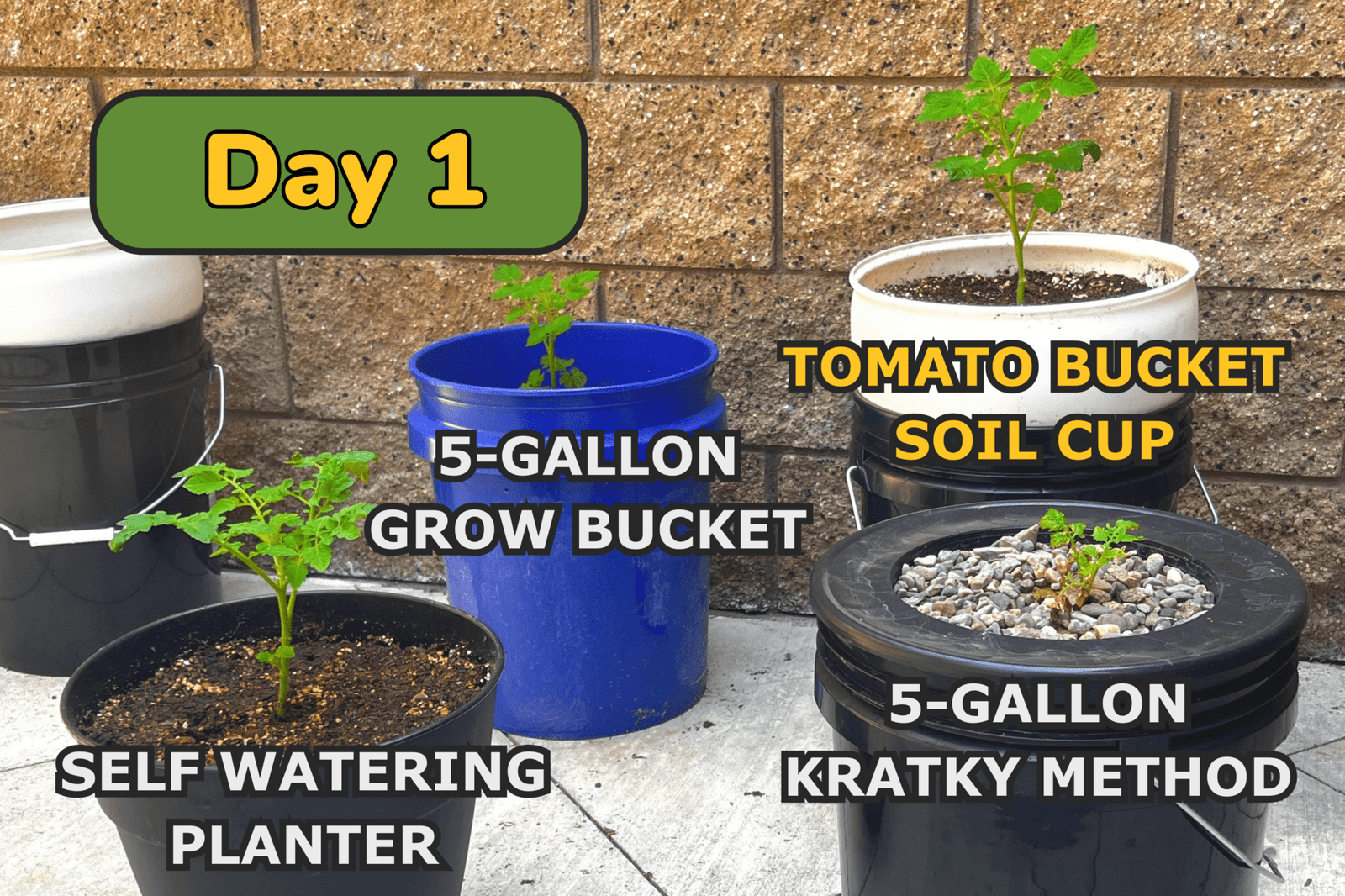 Soil Cup Self Watering Bucket Insert - Tomato Bucket